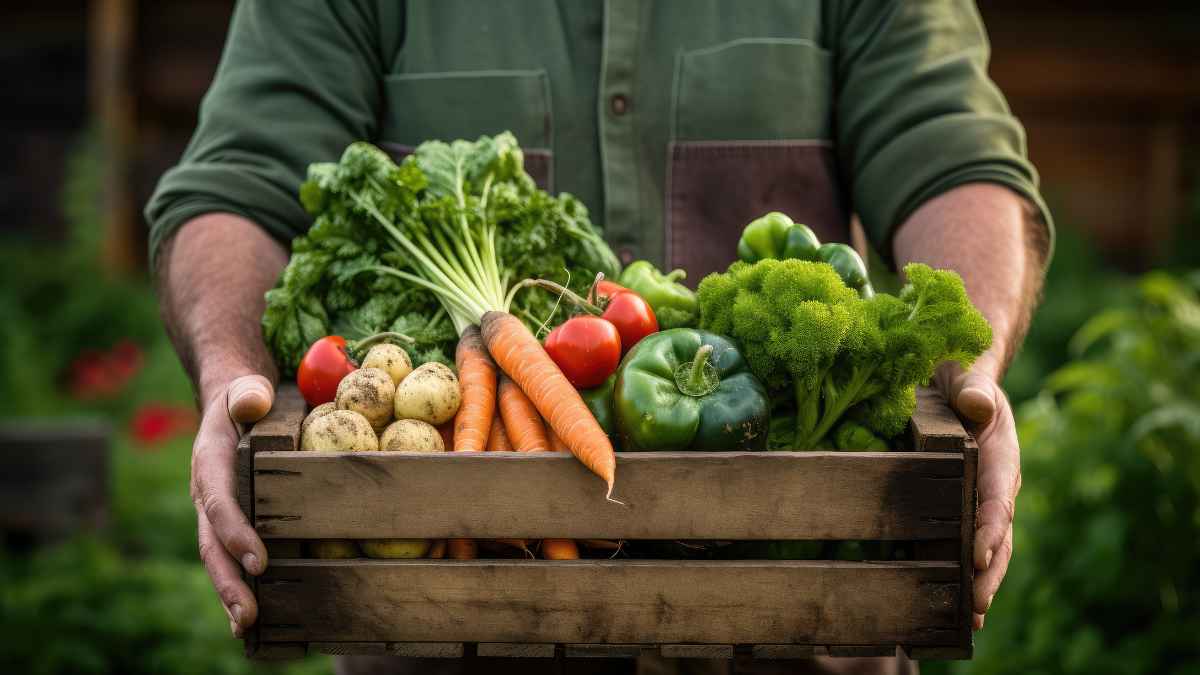 Nourishing Connections: The Essential Role of CSA - Bonsensmedia